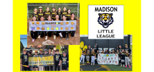 Madison Little League (CT) > Home